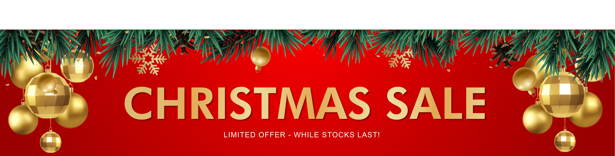 Christmas Flash Sale