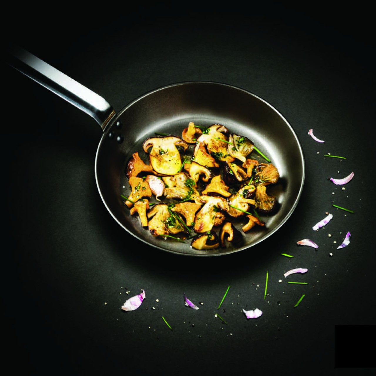 Bourgeat Frying Pan