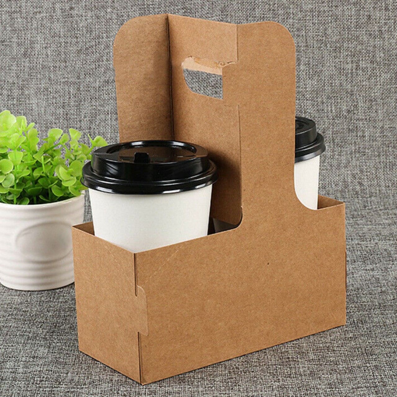 Carrier Packs & Trays