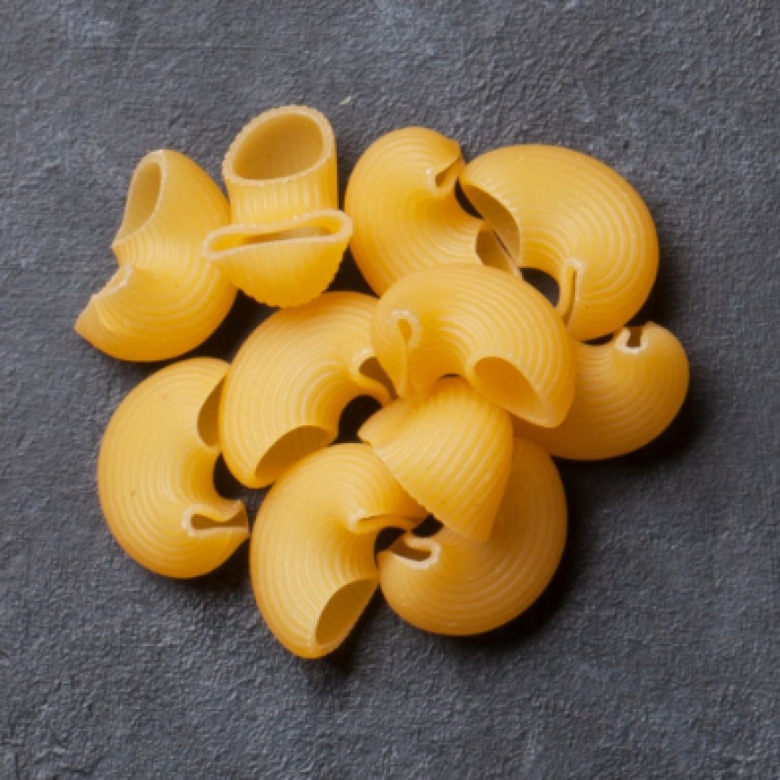 Knorr Pasta : Knorr Macaroni | Irish Leading Pasta Supplier ...