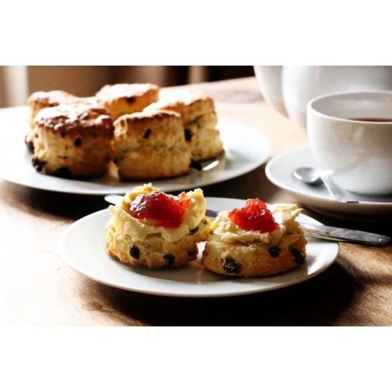 Plain & Fruit Scones : Premium Fruit Scone X 84 |Irish Supplier|