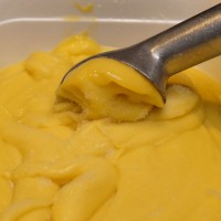 Acai Sorbet and Containers | Acai Bowl | Supplier